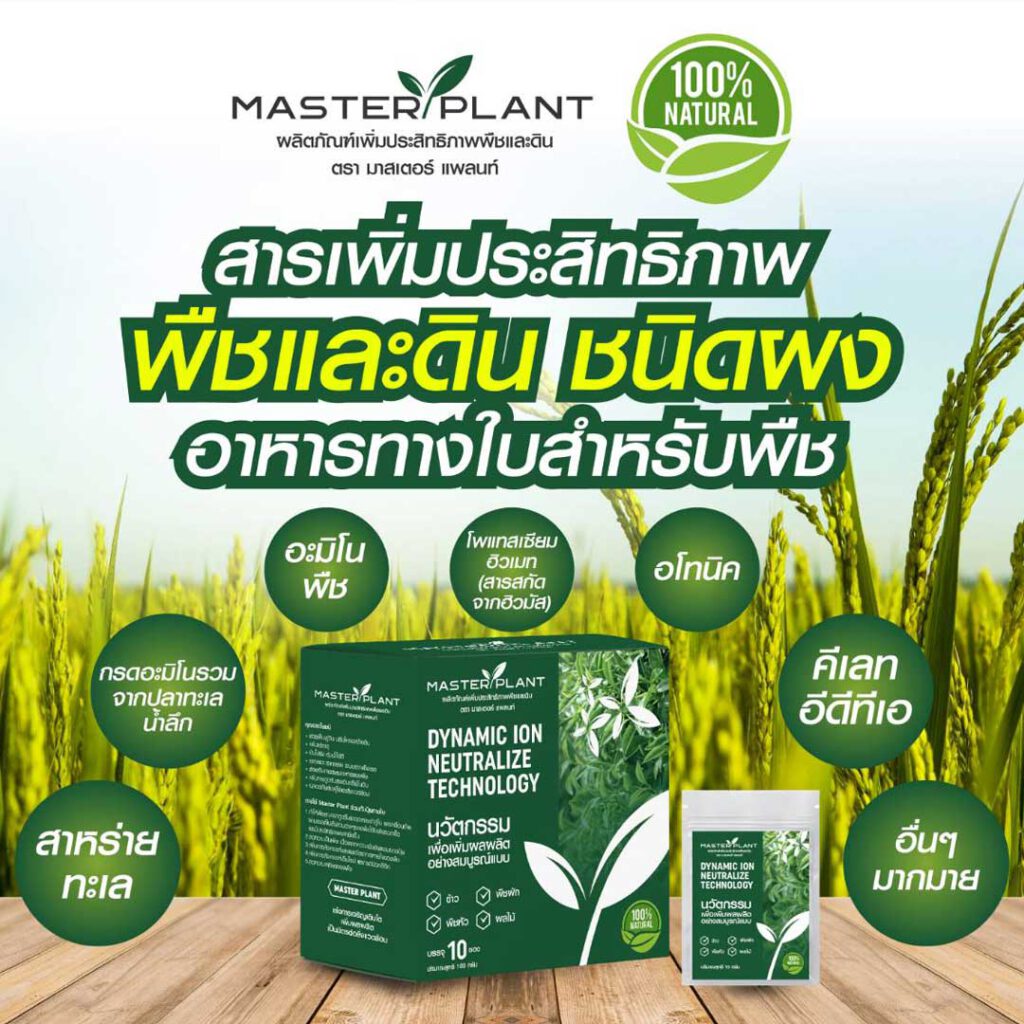 MASTER PLANT - มาสเตอร์ แพลนท์ บำรุงพืชและดิน ต้นแข็งแรงโตเร็ว